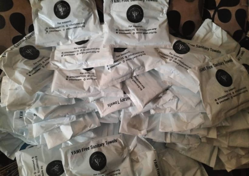 The Young and Woman Initiative – YAWI